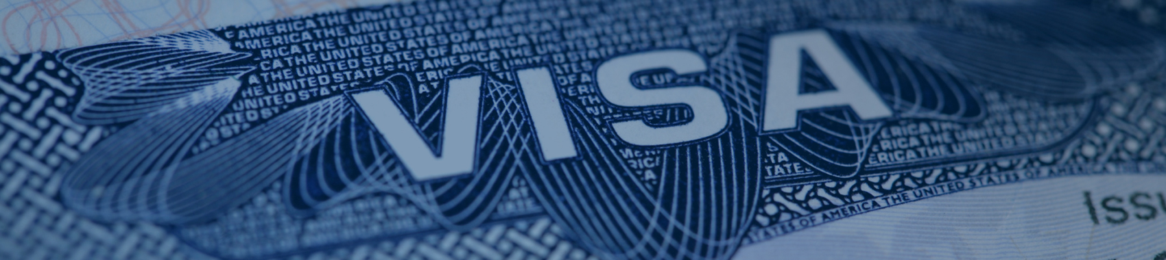 VISA - Study Solutions Ltd